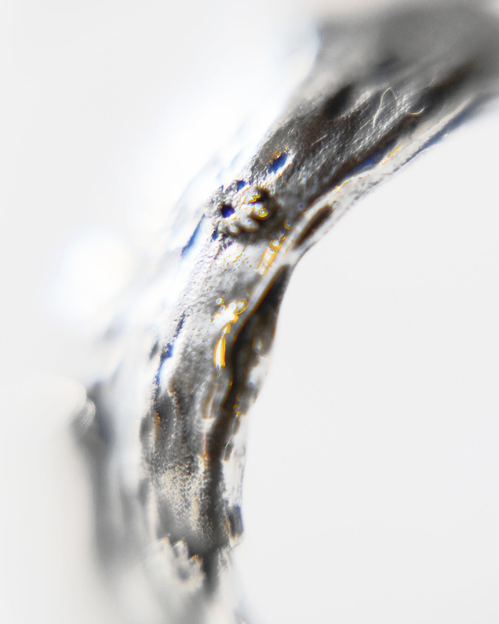 Paintbrush Ring – Famine Studios